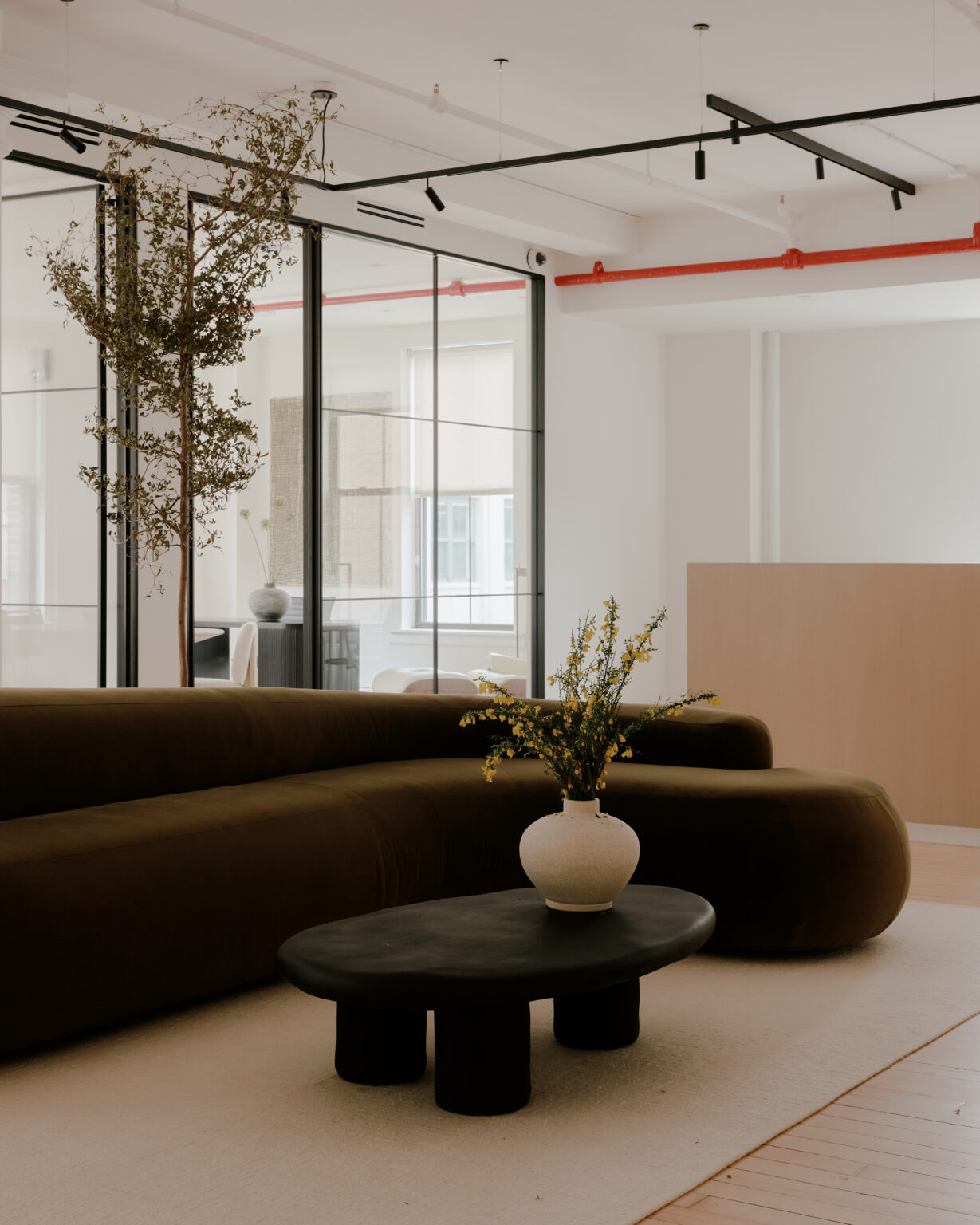 Furniture.com NYC Headquarters – Elmo Studios